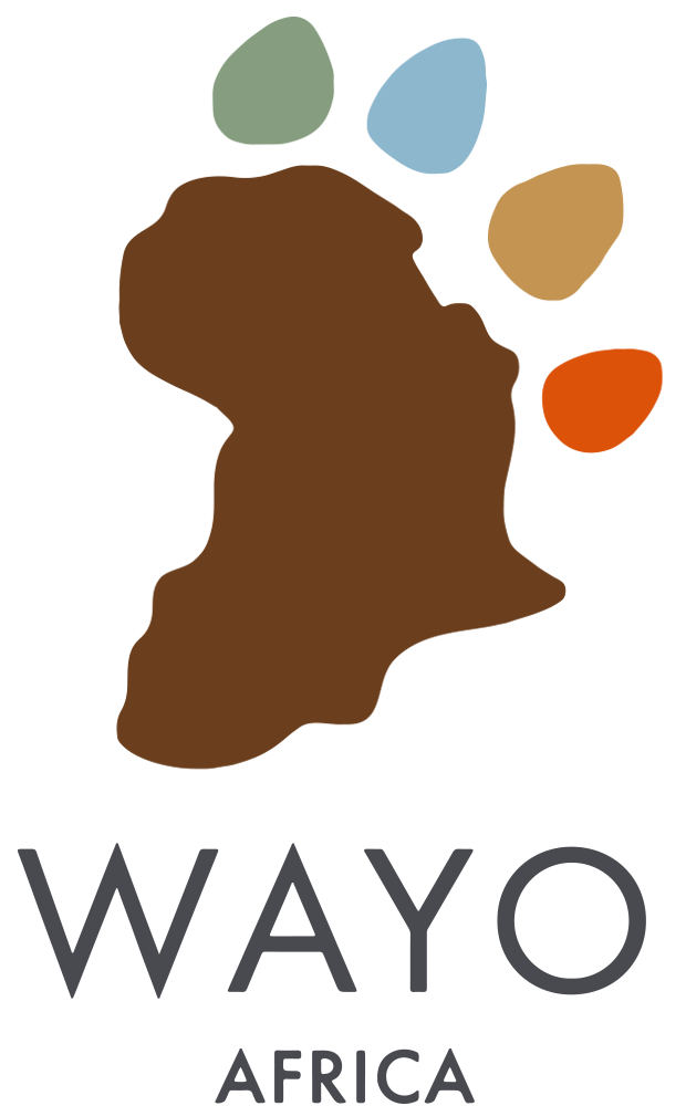 Safari Holidays In Tanzania | Authentic Private Safaris & Activities